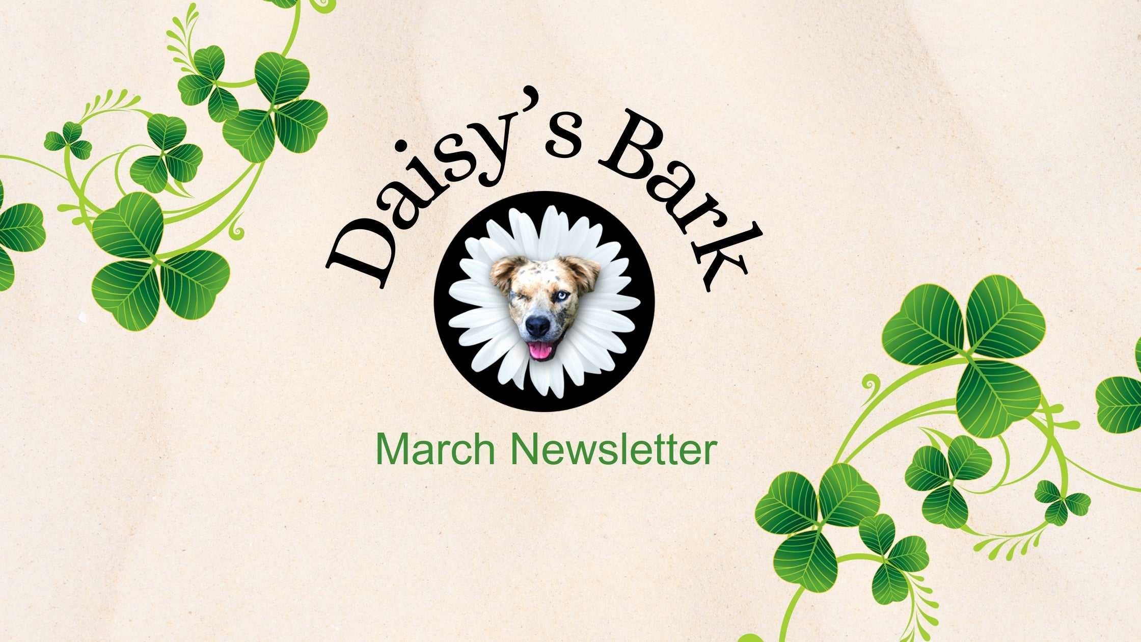 Daisy's Bark - March's Newsletter – DaisysDogCollars